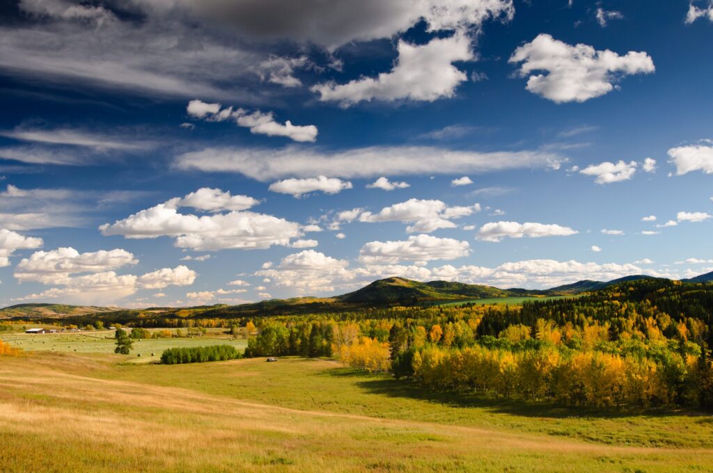 What Is Foothills Style? - Floorscapes